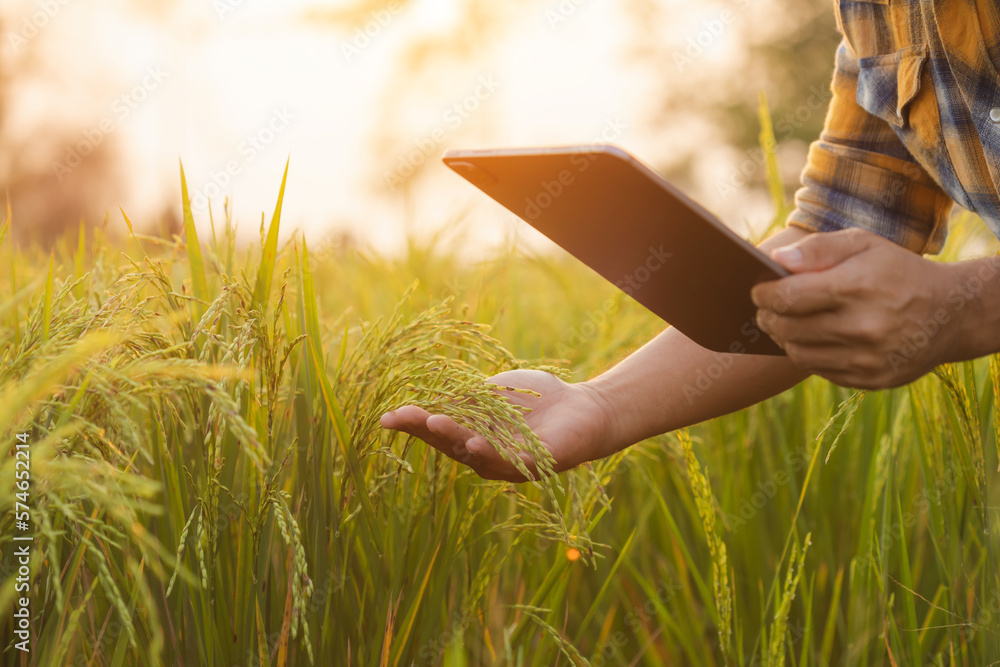Farmers use tablet computers to check their fields. They are used for ...