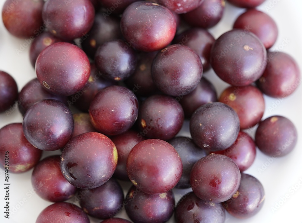 Camu-camu fruits (Myrciaria dubia) Myrtaceae family which strengthens ...