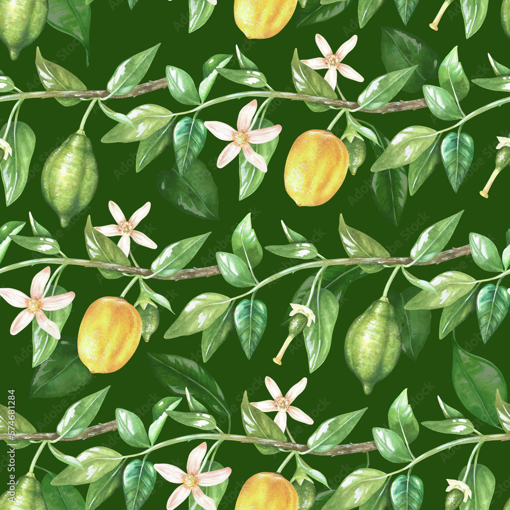 Seamless pattern of lemon sprig with flowers. Watercolor illustration ...