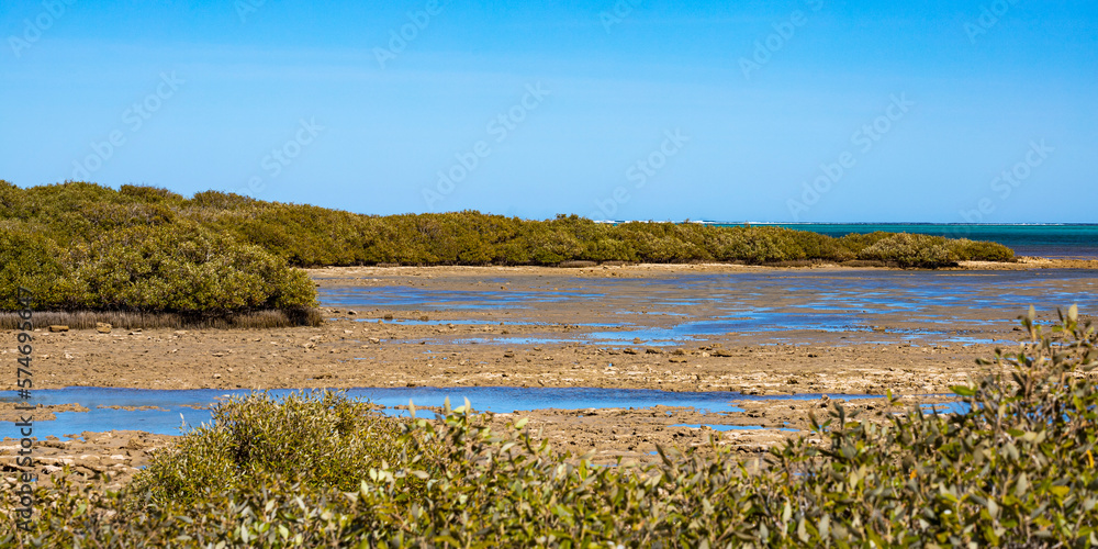 panorama of mangrove bay in cape range national park near exmouth ...