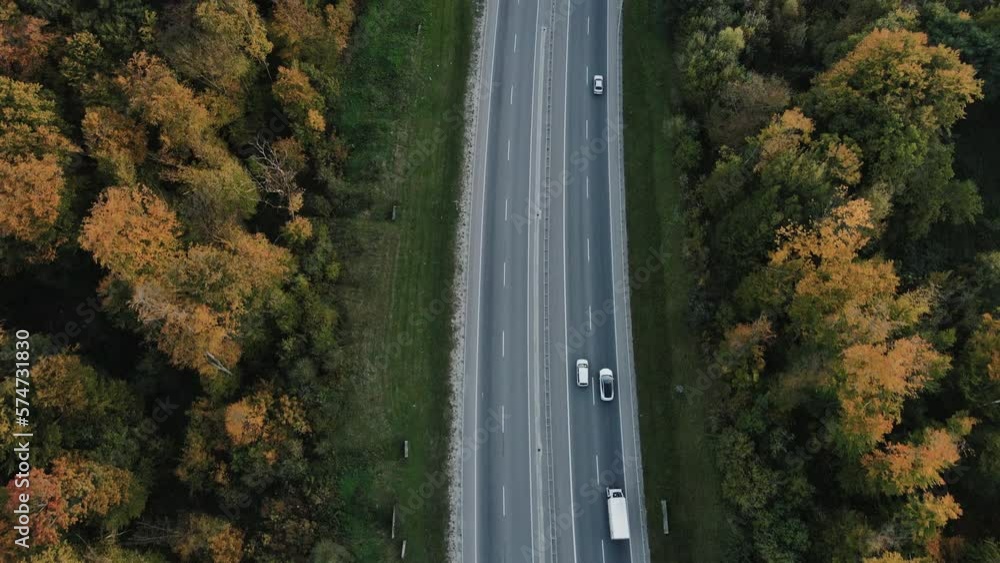 Cars driving along a road in a dense pine forest. Semi Truck with white ...
