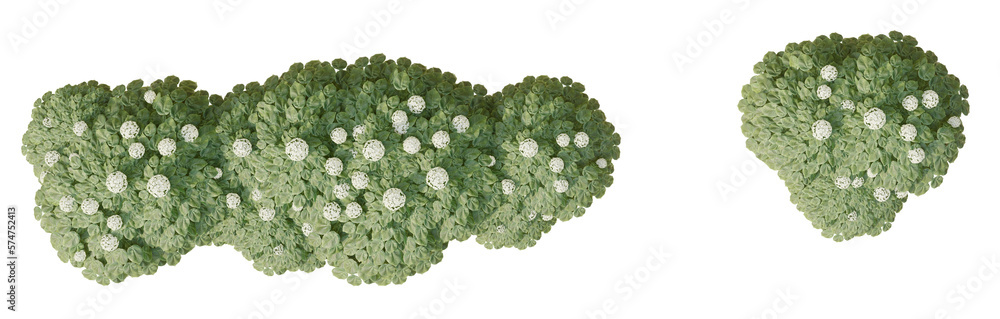 2D plan green hydrangea bushes isolated on PNGs transparentbackground ...