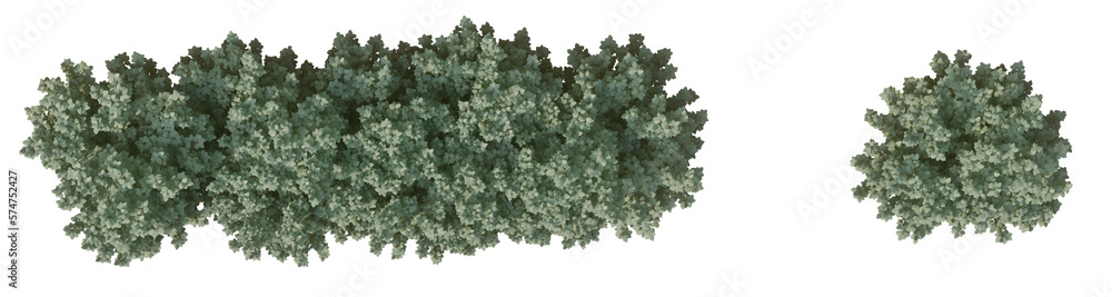 Plan 2D view shrub composition Isolated on PNGs transparent background ...