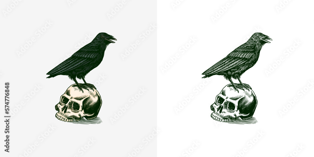 Magic Crow sits on a skull. Raven sketch. Vintage engraving Mystical ...