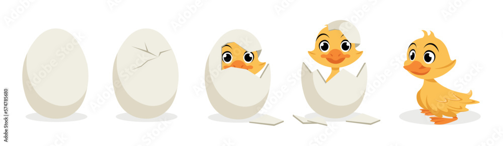Vector illustration of cute and beautiful ducklings on a white ...