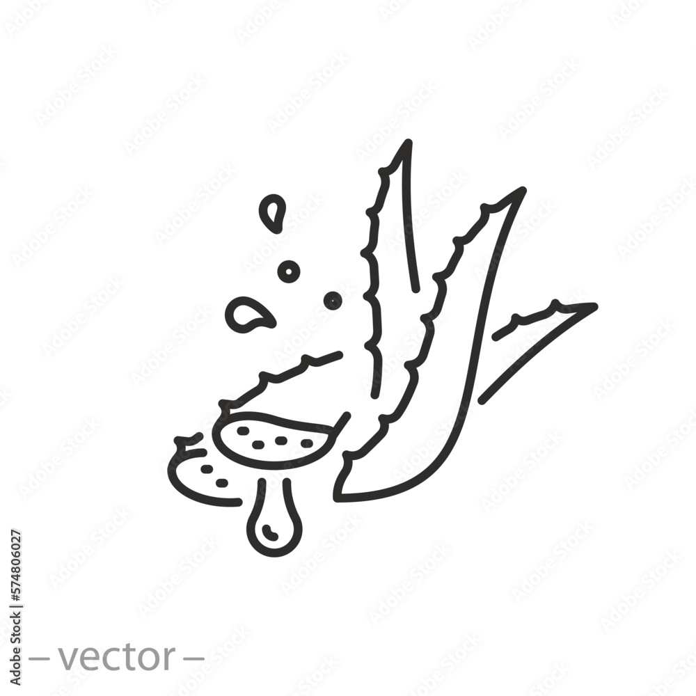 aloe icon, skin care product, aloe vera slice, plant extract, line ...