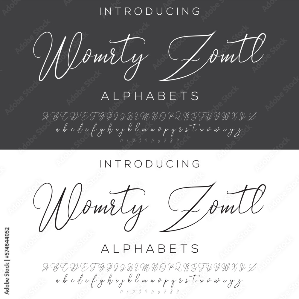 Hand drawn calligraphic vector mono line font. Distress signature letters. Modern script ...