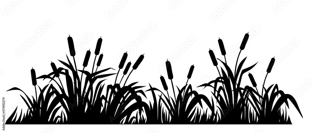 reeds grass silhouette Stock Vector | Adobe Stock