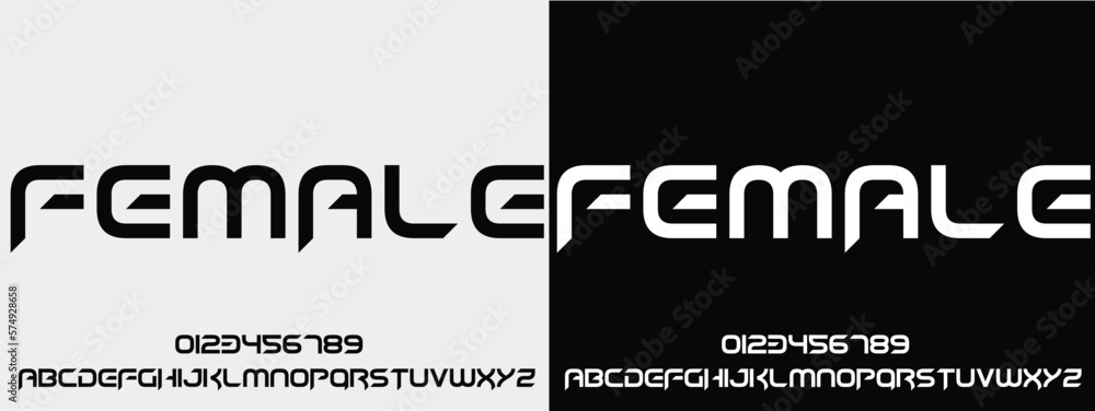 Vetor de FEMALE Modern Bold Font. Regular Italic Number Typography ...