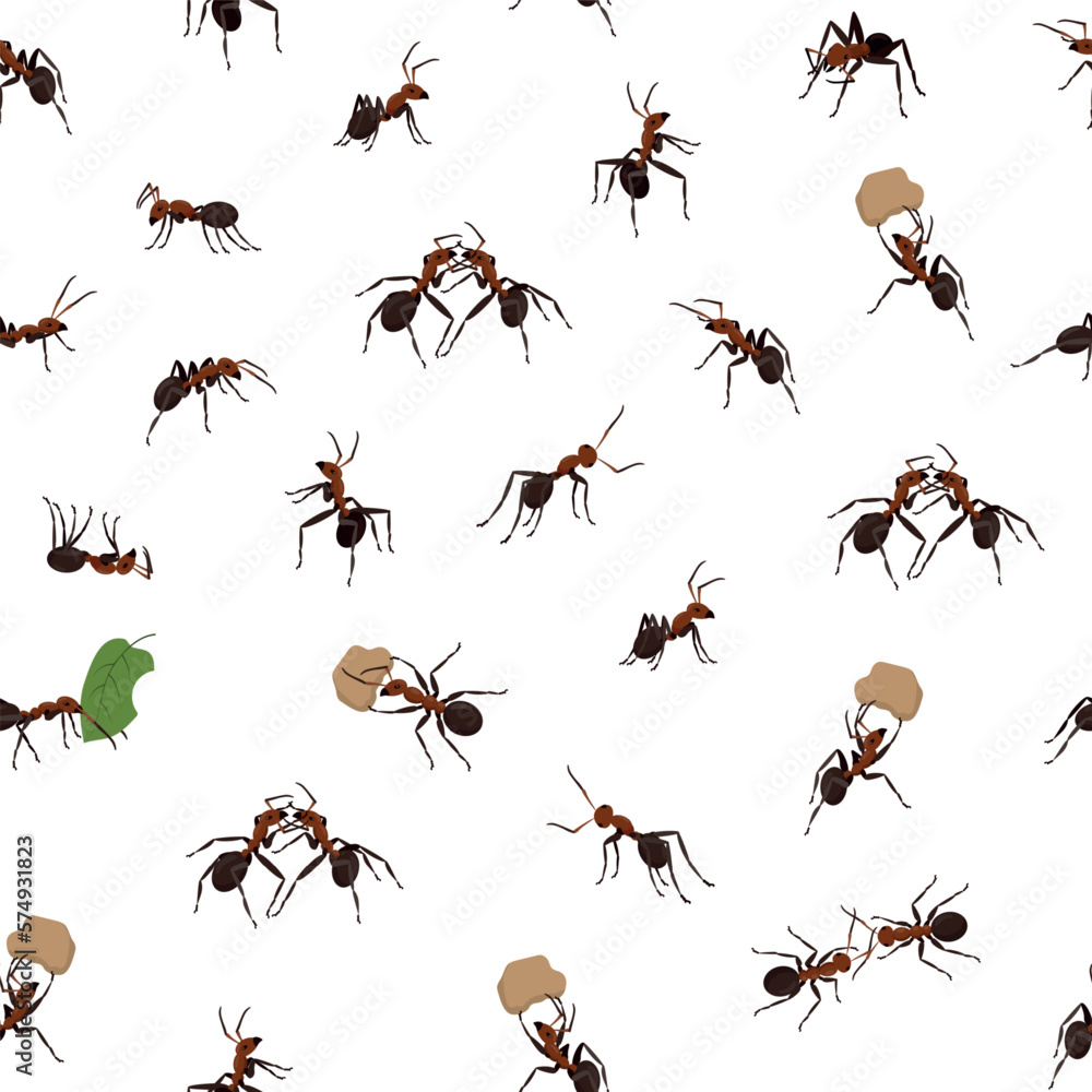 Ant pattern, abstract insects. Realistic isolated elements, summer ...