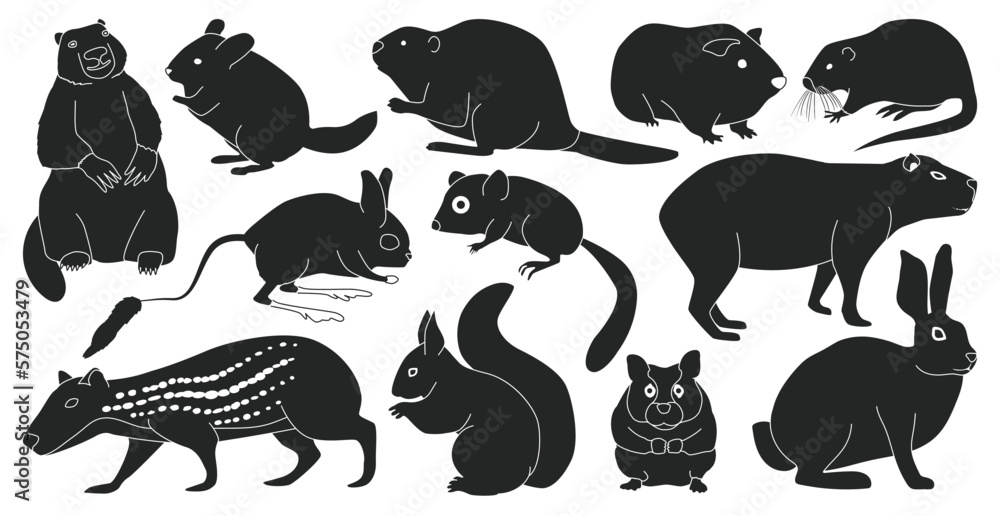 Species of rodents vector black set icon. Isolated black set icon ...