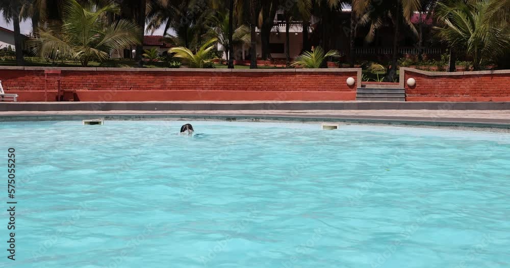 Cape Coast Ghana resort woman swimming pool. Luxury tropical resort on ...