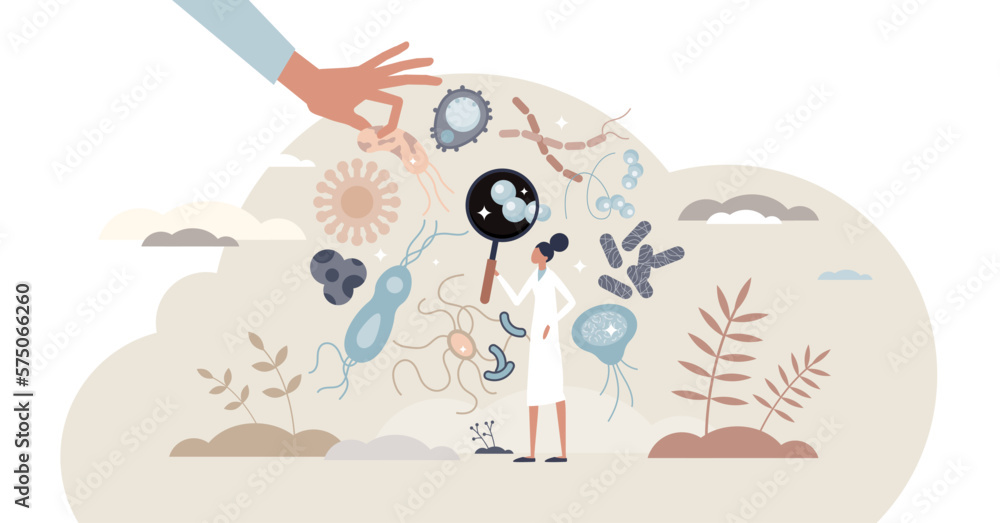 Bacteriology as biology branch with bacteria research tiny person ...
