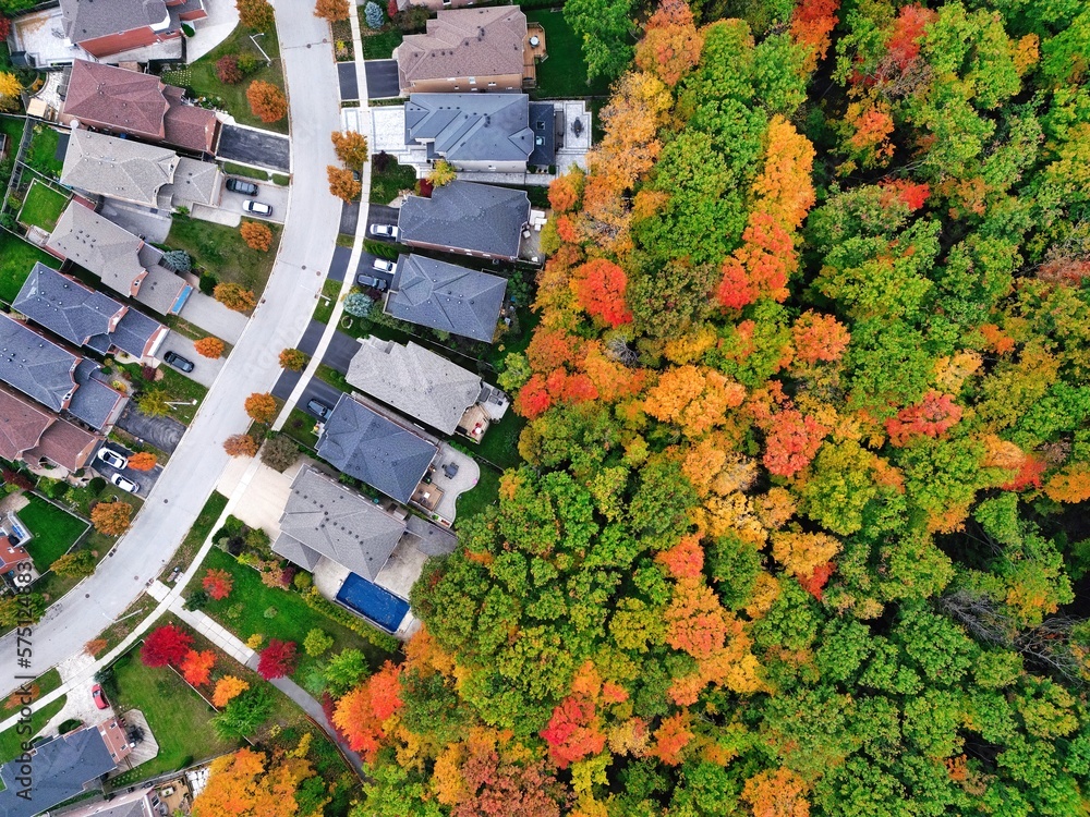 Drone aerial view of residential house neighbourhood street with fall ...