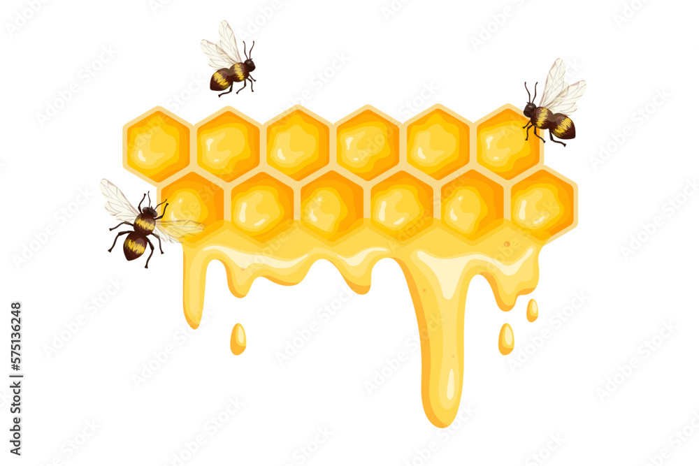 Graphics Honeycomb With Honey
