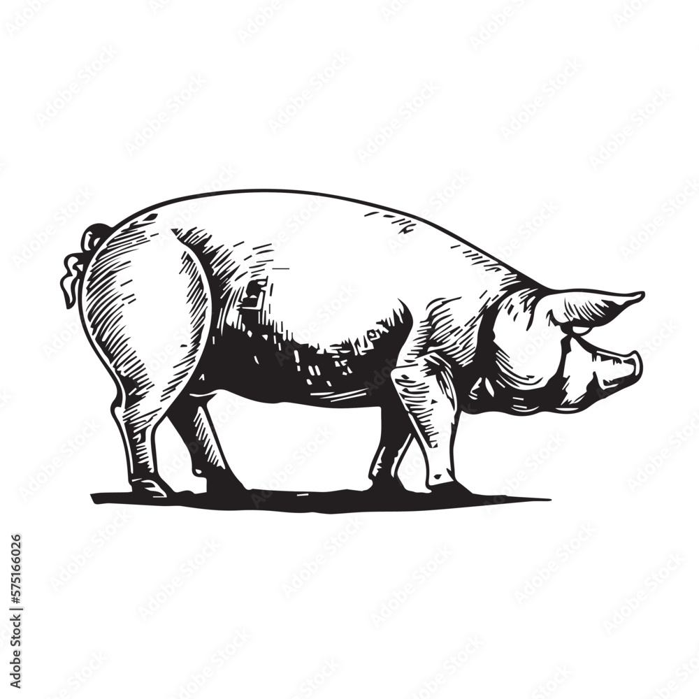 Funny Pig coloring pages, Pig coloring pages, Animal Coloring page ...