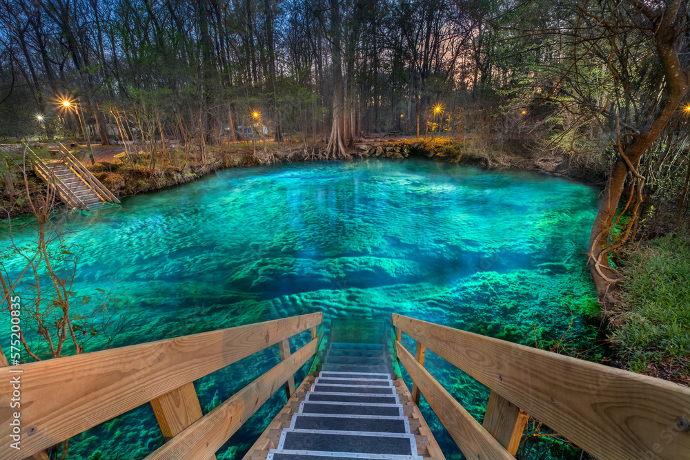 Deer Springs at Ginnie Springs Outdoors in Florida Illuminated at Night ...