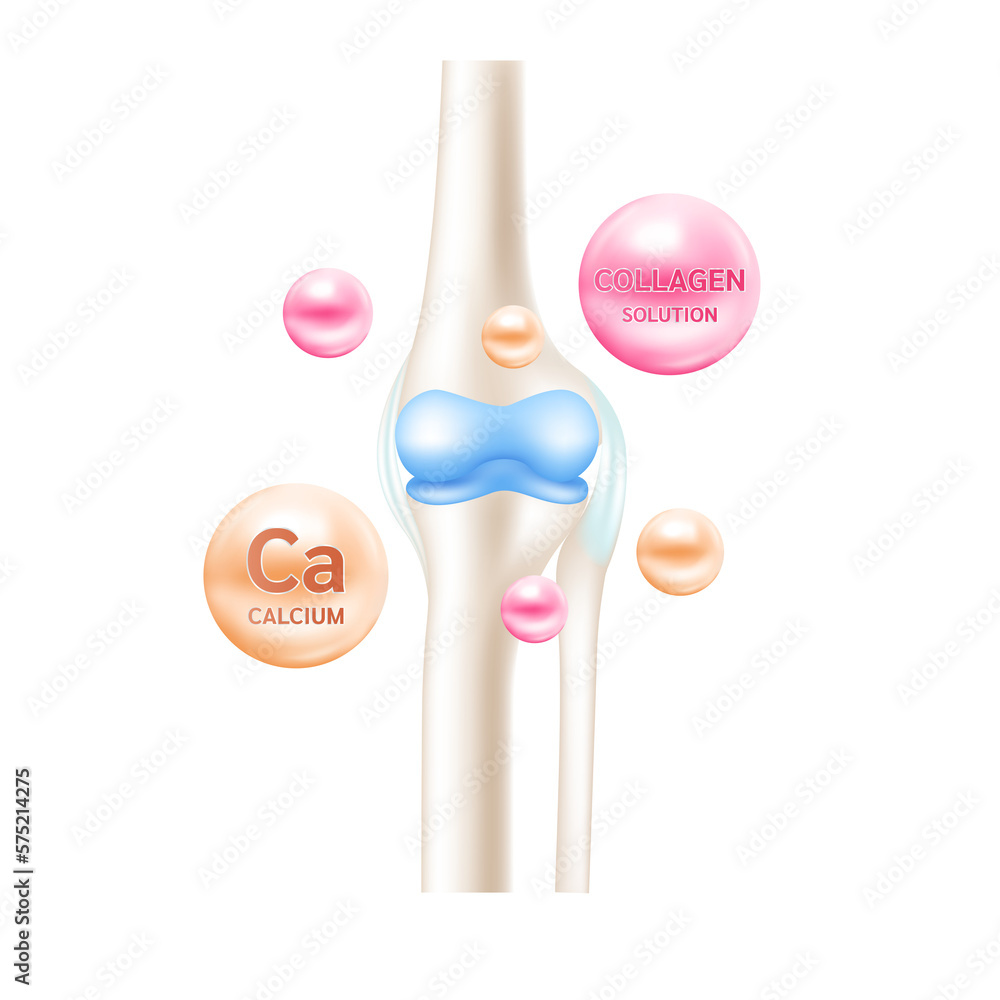 Human bone anatomy. Calcium collagen vitamins therapy bone protection ...