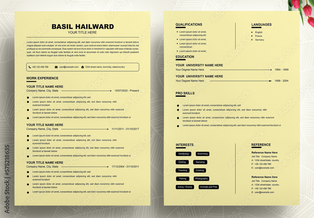 Pro Resume Design Template Layout Stock Template | Adobe Stock