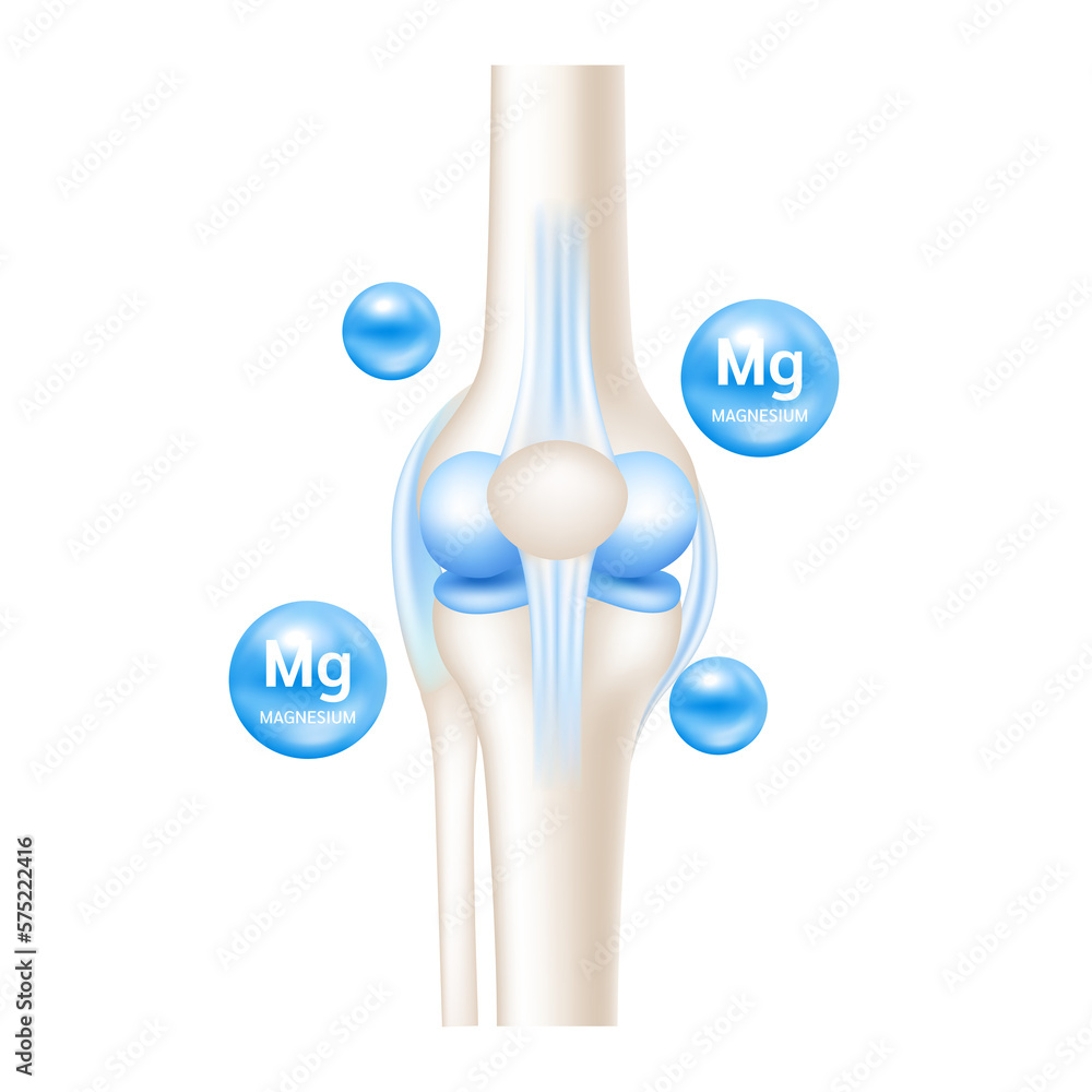 Human bone anatomy. Magnesium therapy bone protection. Help heal ...