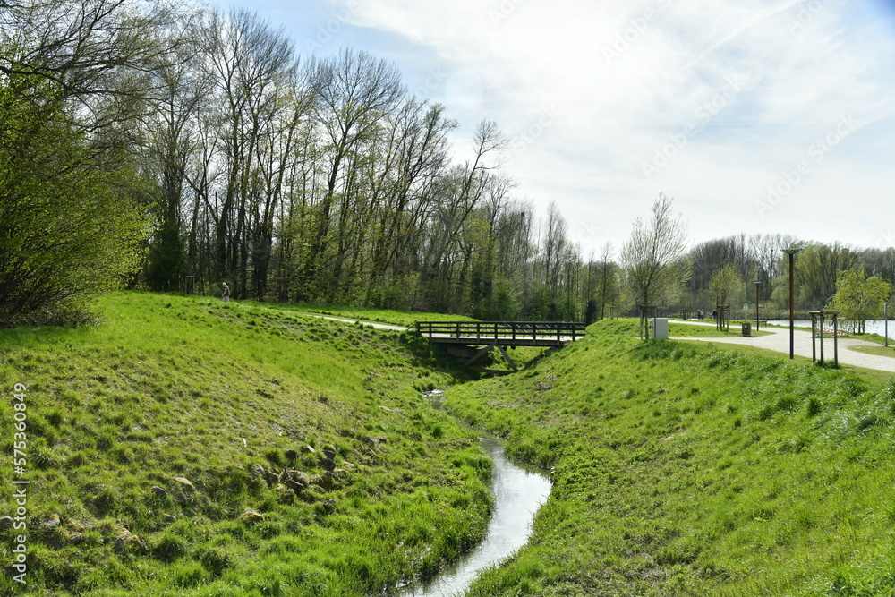 Ruisselet au fond de son fossé longeant bois et pelouses au parc du ...