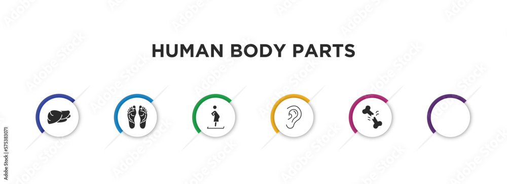 human body parts filled icons with infographic template. glyph icons ...