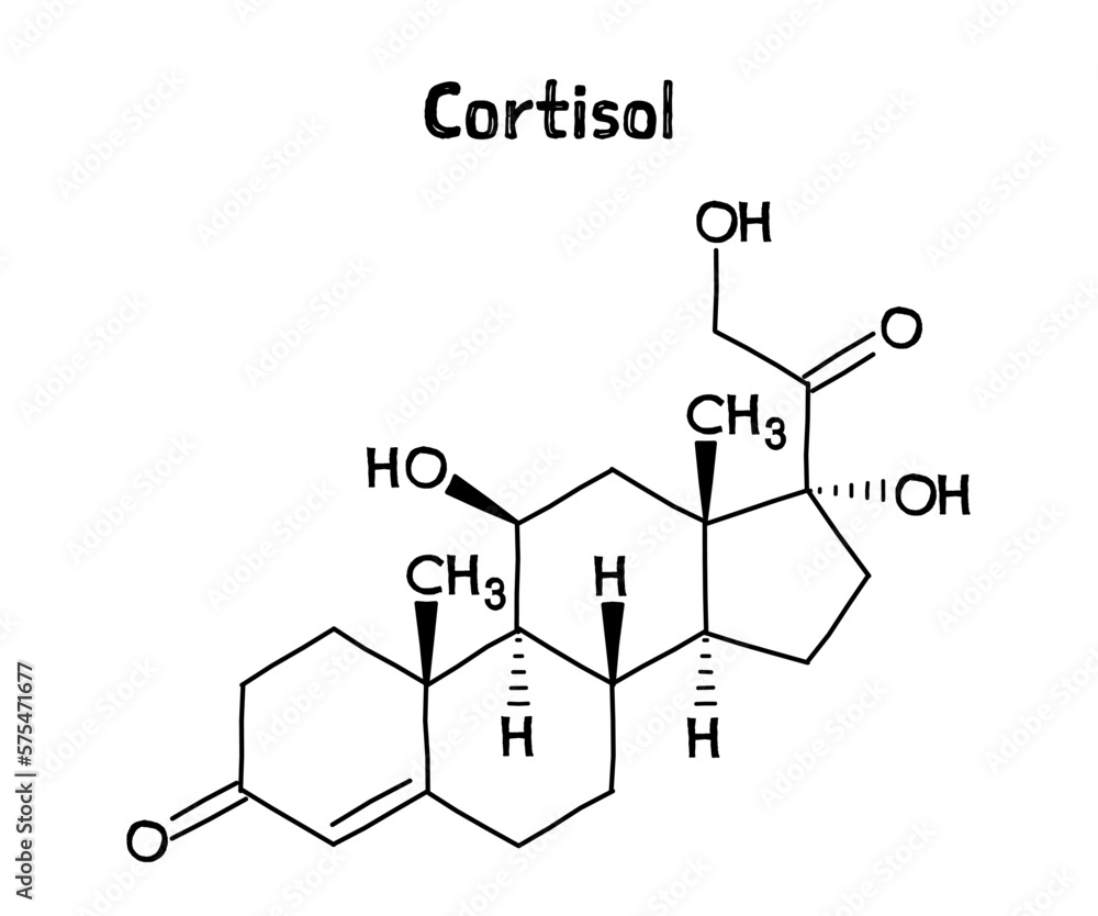 Cortisol Molecular Structure Cortisol Is A Steroid Hormone Regulating