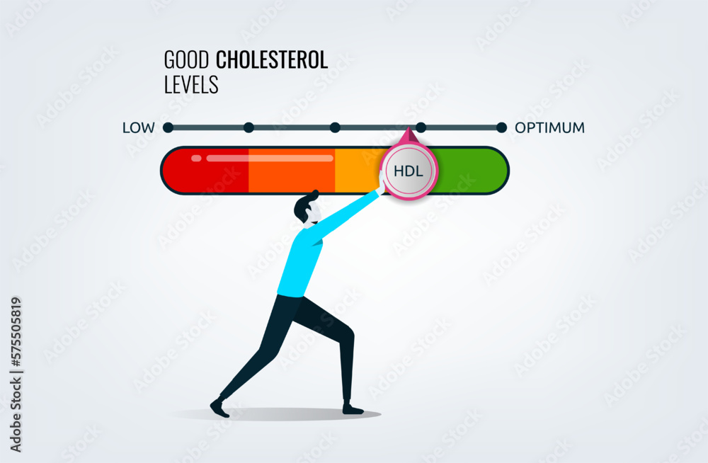Good cholesterol levels gauge with arrow indicator for healthcare and ...