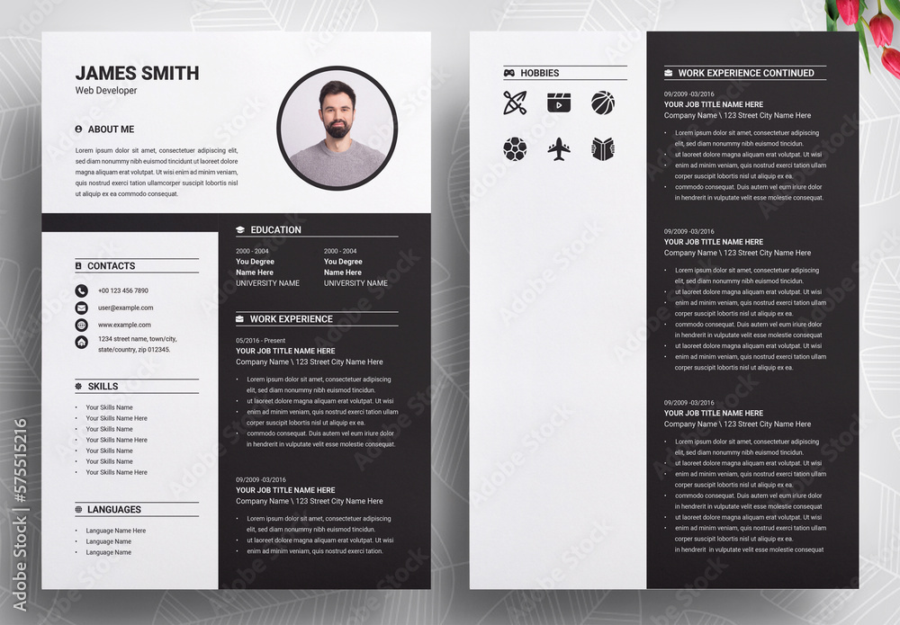 Web Developer Resume Design Layout Stock Template | Adobe Stock