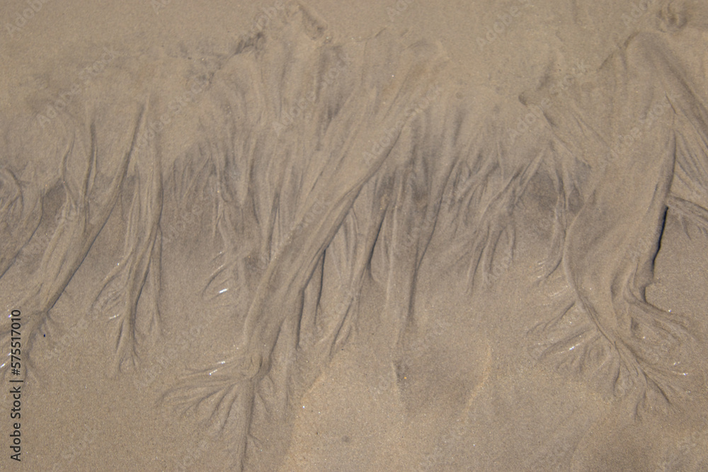 Water from waves makes patterns in the beach sand Stock Photo | Adobe Stock