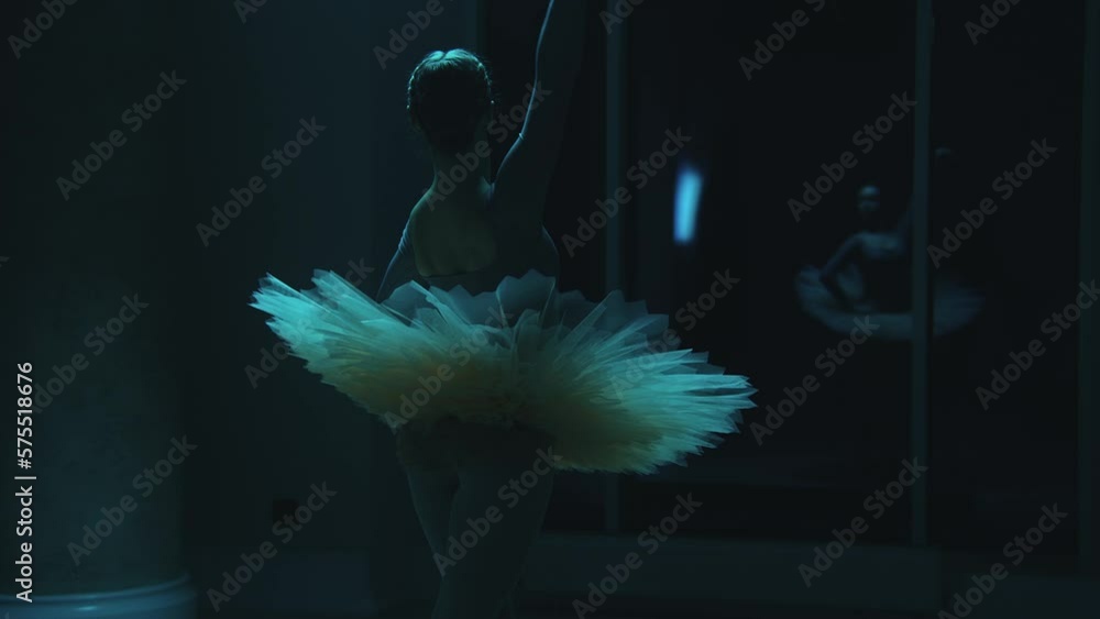 Cinematic shot of beautiful ballerina in ballet dress dancing in front ...
