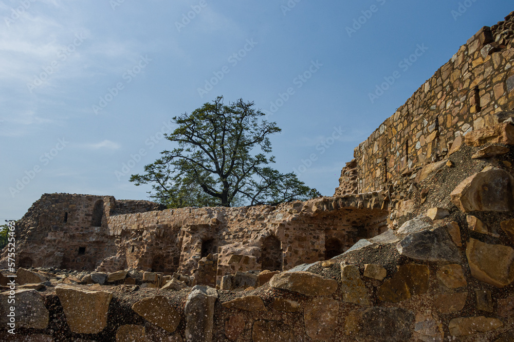 Picture of The Feroz Shah Kotla or Kotla was a fortress built circa ...