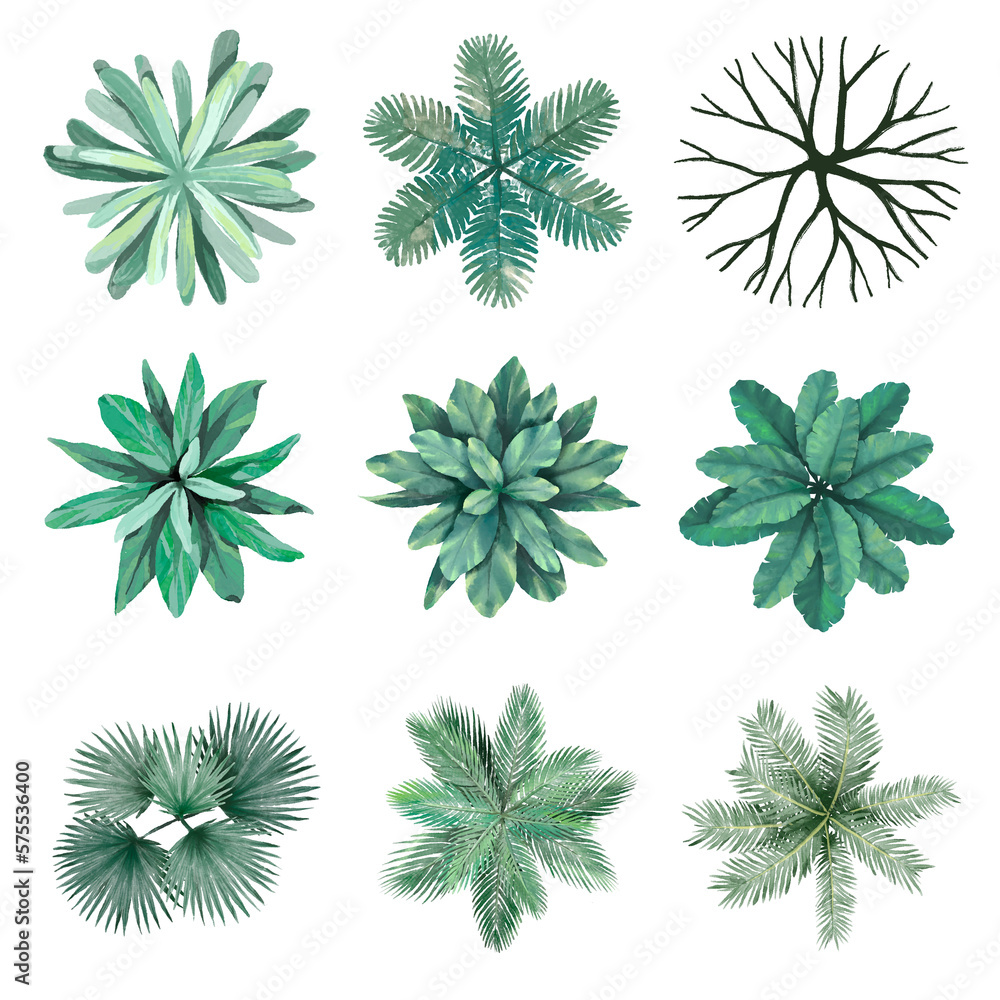 Architectural plans trees. Bushes and shrubs, top view for landscape ...