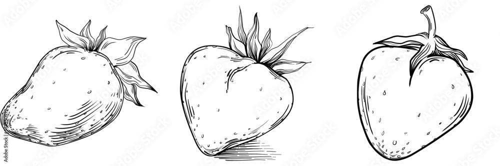 Strawberry hand drawing vintage clip art. berries logo or tattoo highly ...