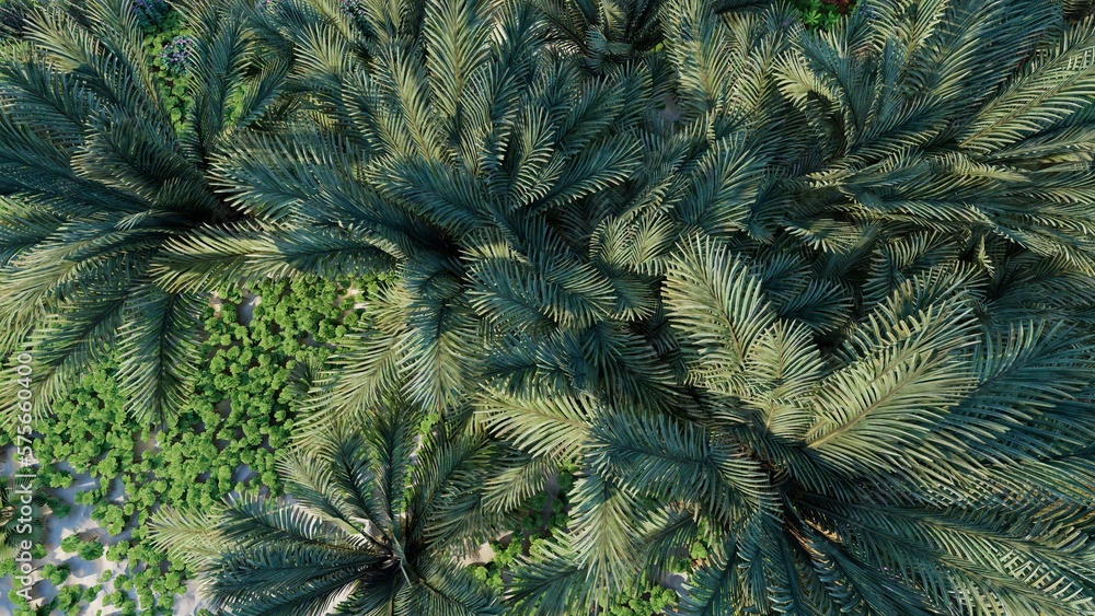 Wallpaper of tropical forest trees, top view. 3D rendering Stock ...
