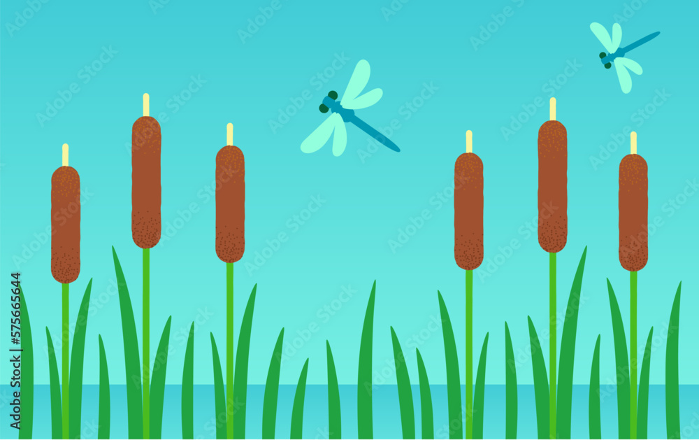 Cartoon swamp cattails background illustration Stock Vector | Adobe Stock