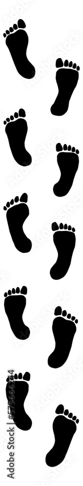 Foot. Vector drawing Stock Vector | Adobe Stock