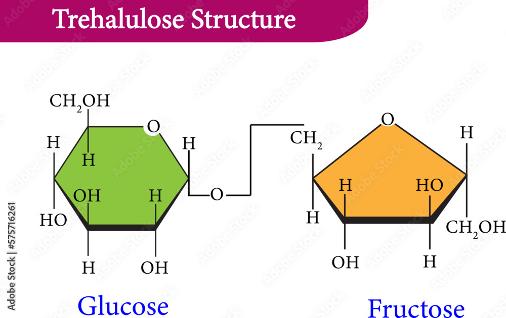 Trehalulose is an artificial sugar, a disaccharide composed of glucose ...