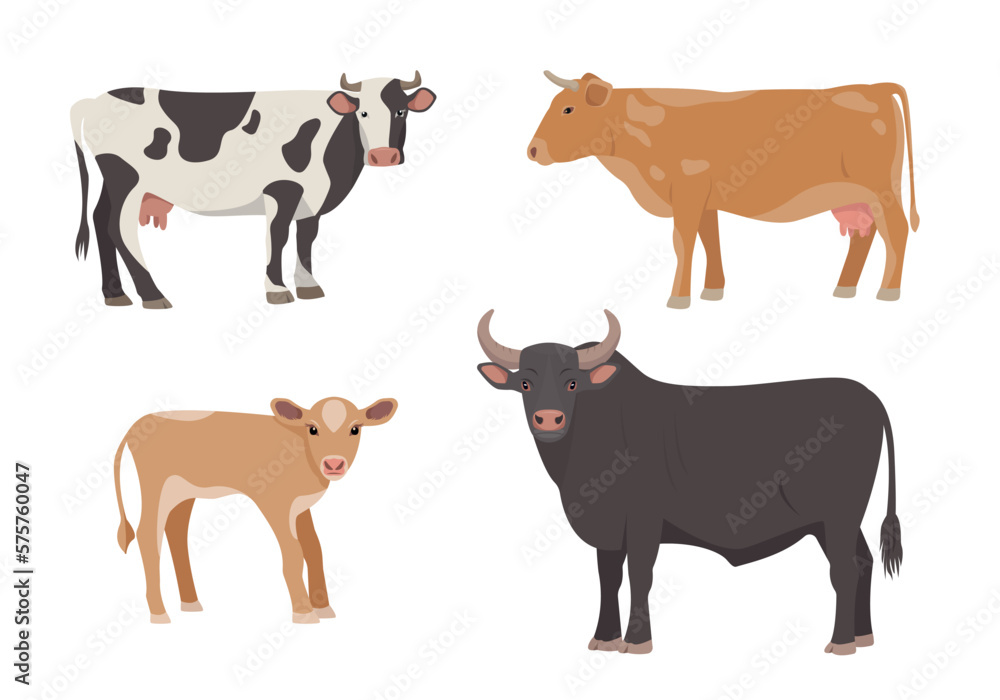 Set of male and female farm animals. Cow, bull and calf icons. Dairy ...
