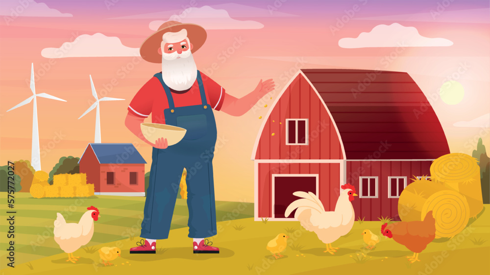 Farmer feeding chicken concept. Elderly man gives grain to chickens ...