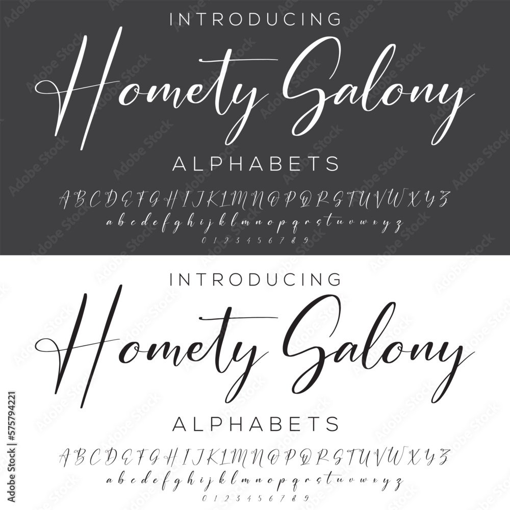 Hand drawn vector alphabet. Script font. Isolated letters written with marker, ink. Calligraphy ...