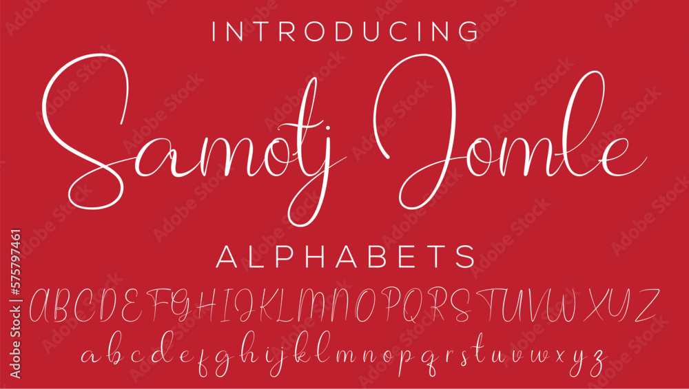 Hand drawn vector alphabet. Script font. Isolated letters written with ...