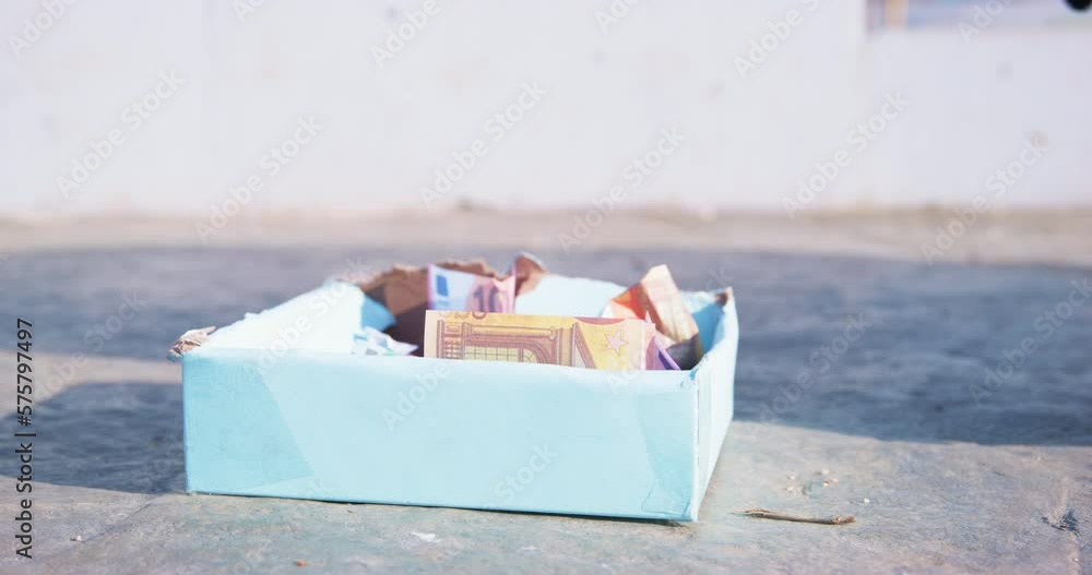 Vídeo do Stock: Dog his teeth pulls out banknotes box for donations ...