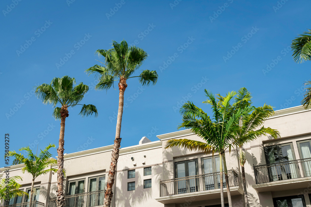 Foto de Palm trees near the railings of the balconies of a building at ...