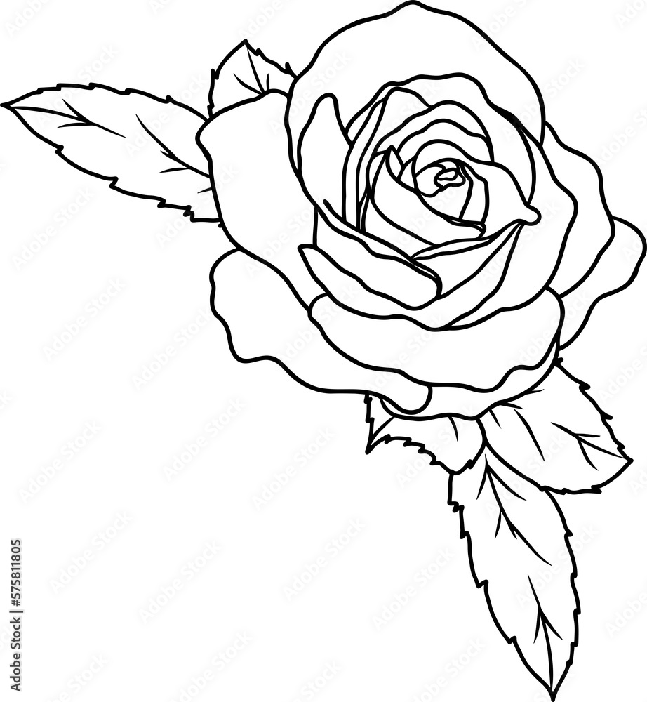 Burgundy iceberg rose png.Beautiful flower on transparent background ...
