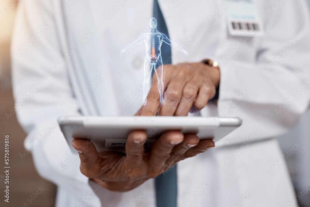 Doctor, hands and tablet with 3D hologram of body in healthcare ...
