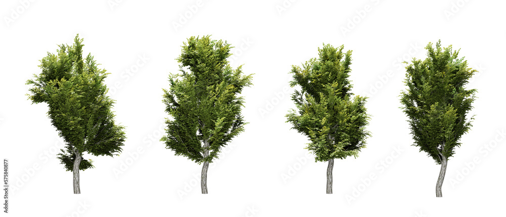 Set of green trees in transparent background, use for visualization in ...