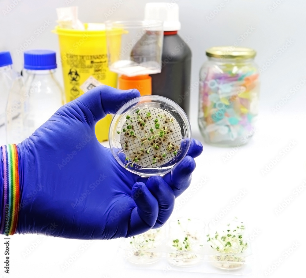 Foto de Scientist's glove with an LGBT bracelet showing a Petri dish ...