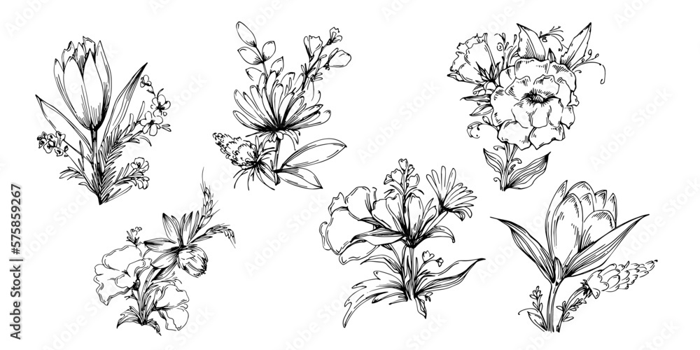 Line drawing flowers, wild flowers, hand drawn vector illustration ...