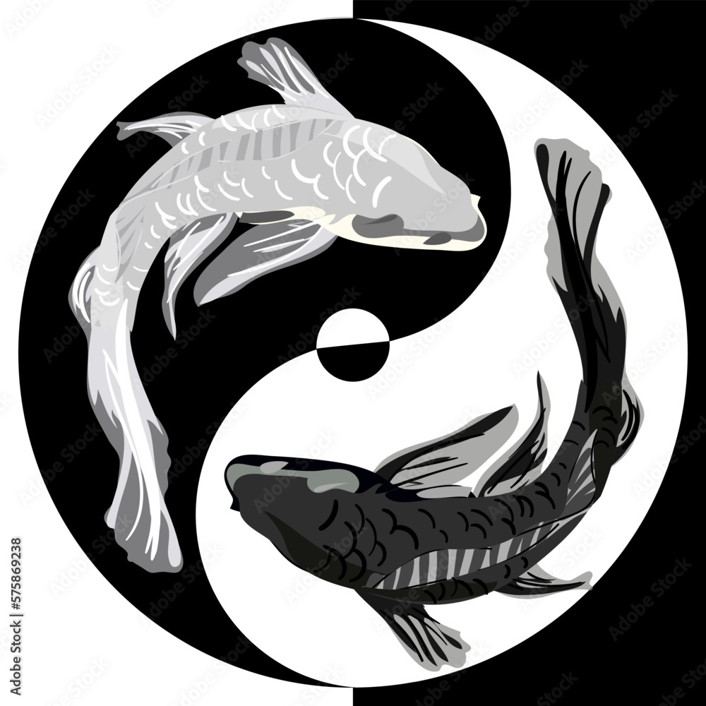 Koi jerks in the yin yang sign. White and black Asian carp in the ...